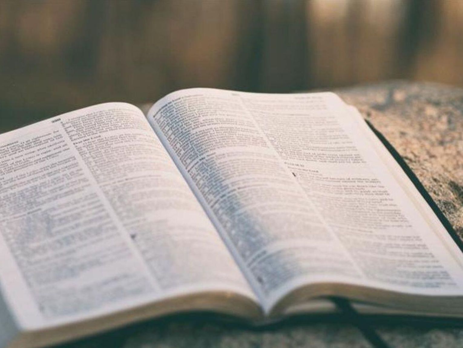 What Does The Bible Say?