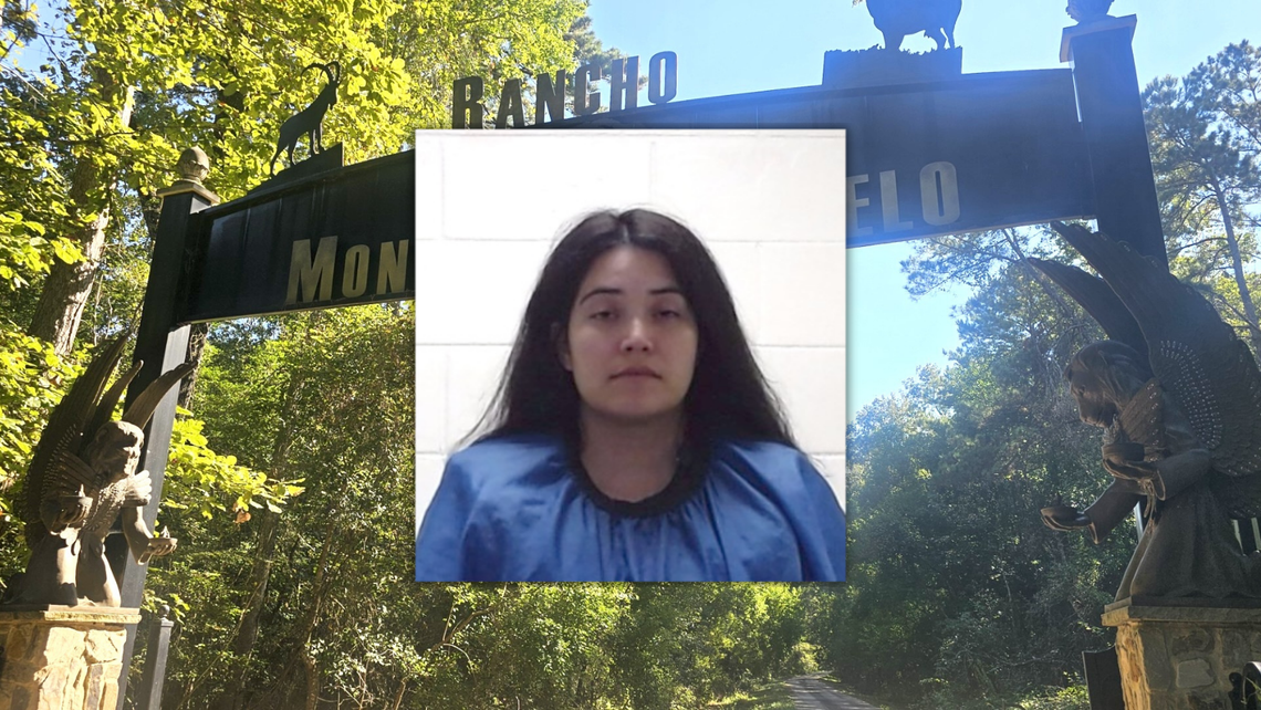 Mother arrested in alleged drowning incident
