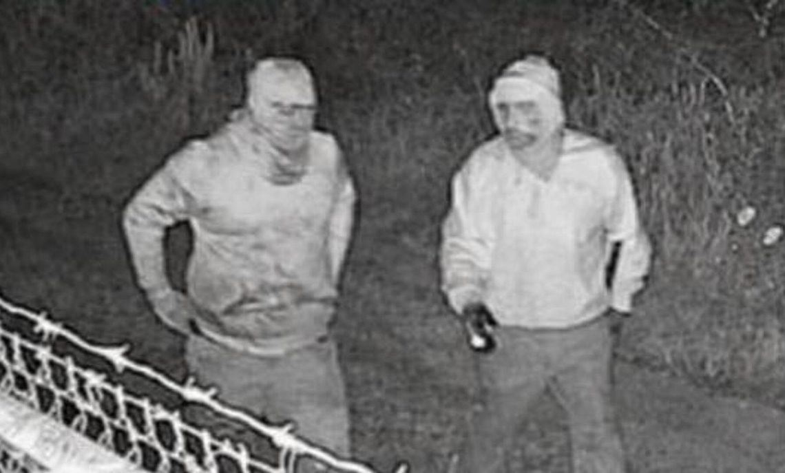 Wanted: the ‘Pall Mall Pipeline Posse’